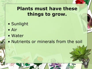 Parts of a plant power point | PPT | Gardening | Home & Garden