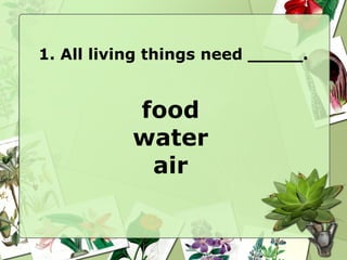 Parts of a plant power point | PPT