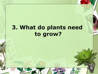 Parts of a plant power point | PPT