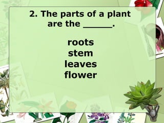 Parts of a plant power point | PPT