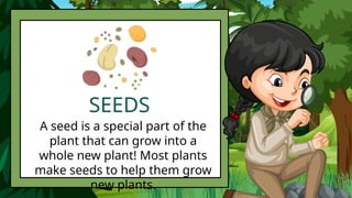 Parts of A Plant Educational Presentation (1).pptx