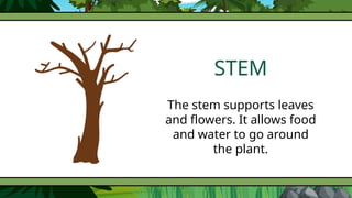 Parts of A Plant Educational Presentation (1).pptx