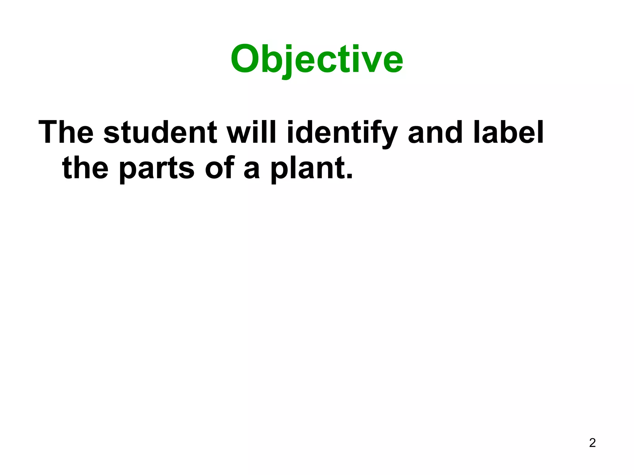 Parts of a plant ppt | PPT