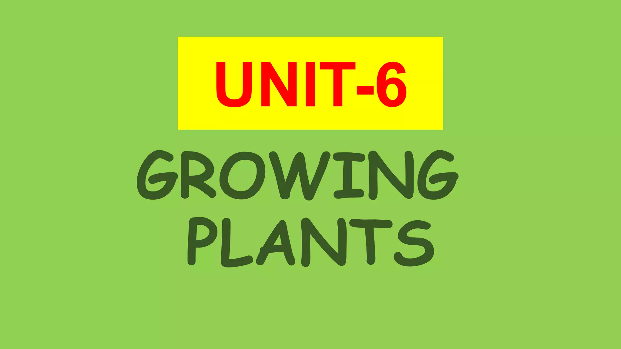 parts of a plant ppt.pptx