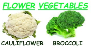 parts of a plant ppt.pptx