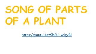 parts of a plant ppt.pptx