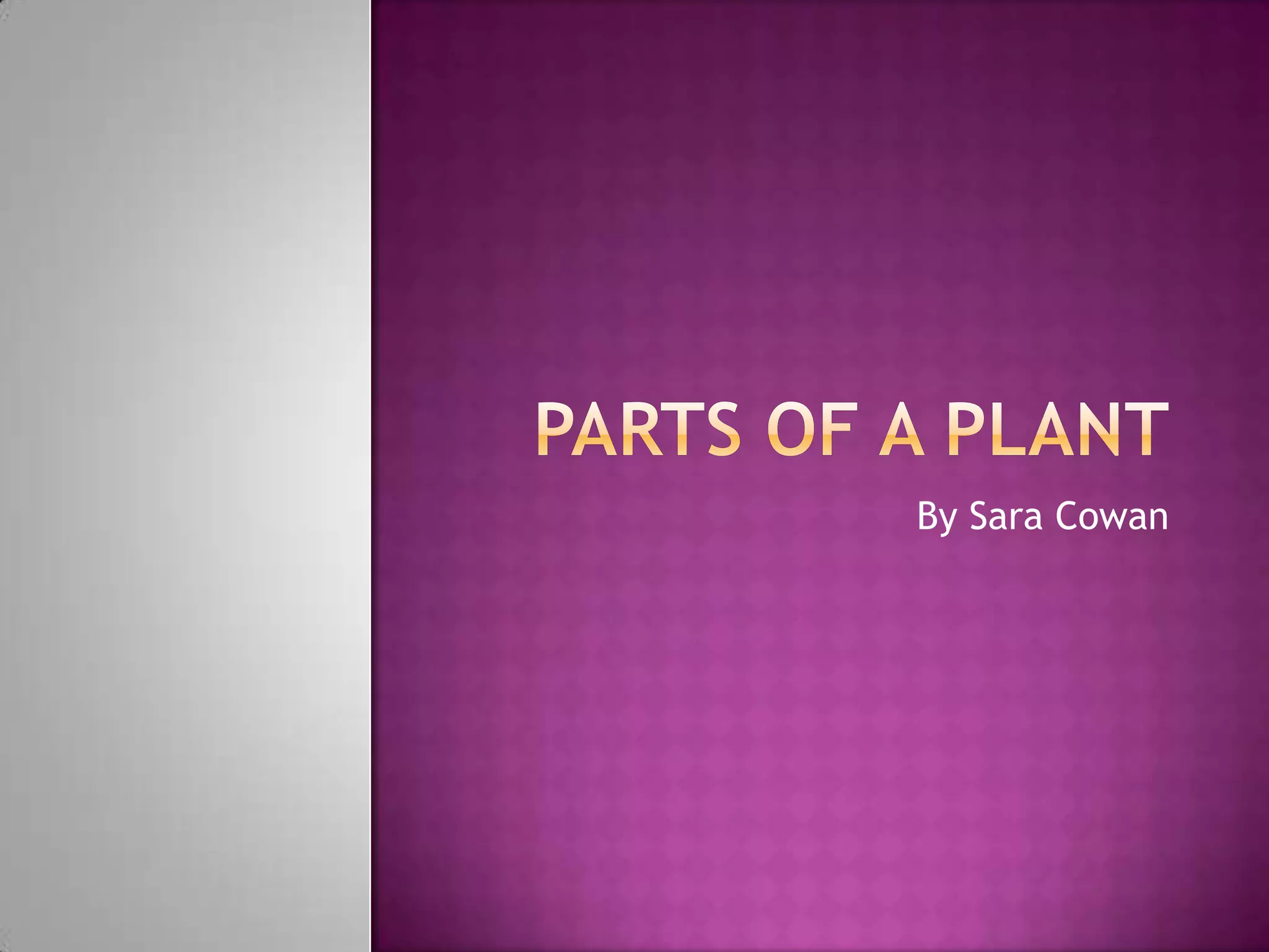 Parts of a plant Sara | PPTX