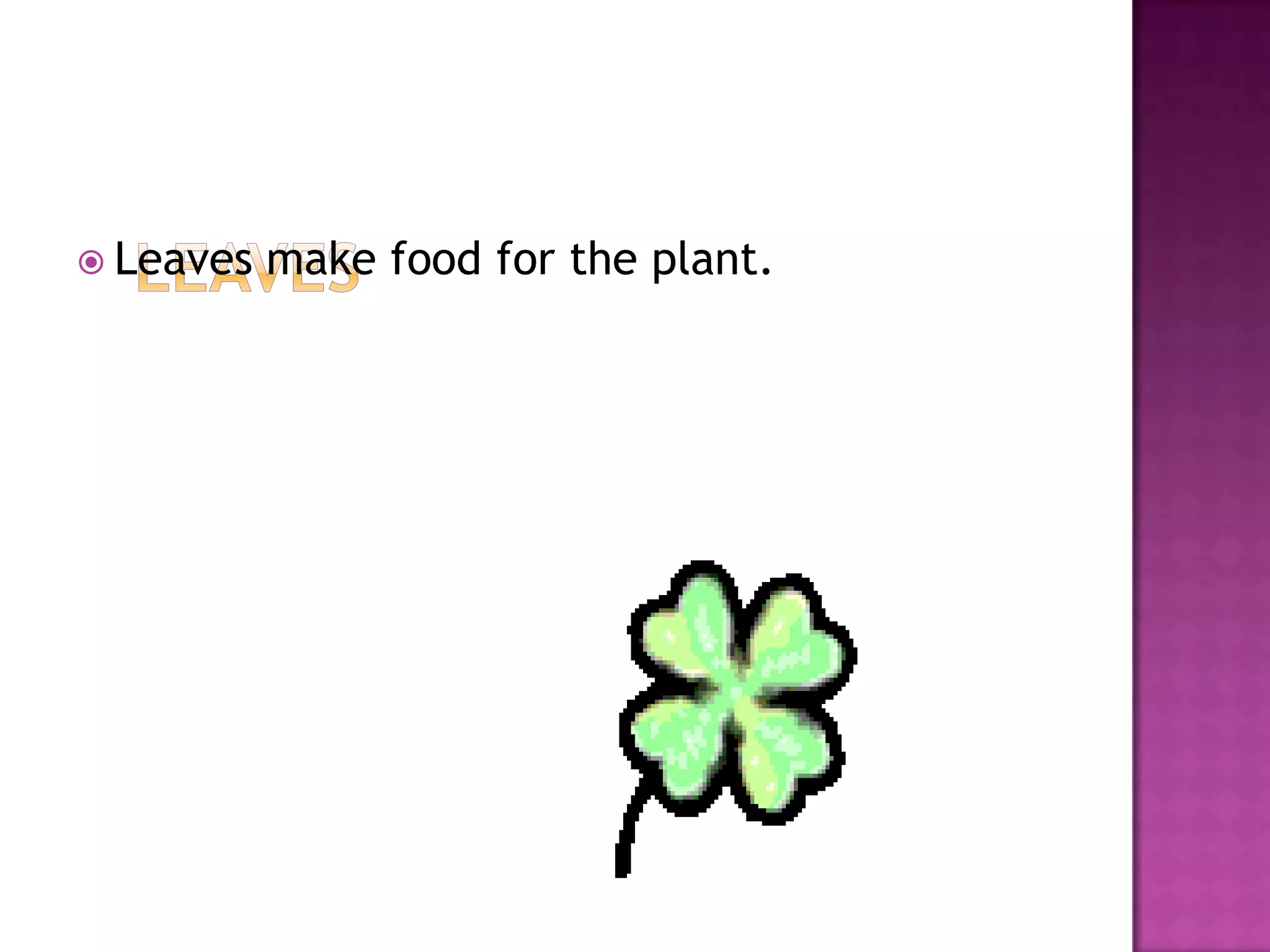 Parts of a plant Sara | PPTX