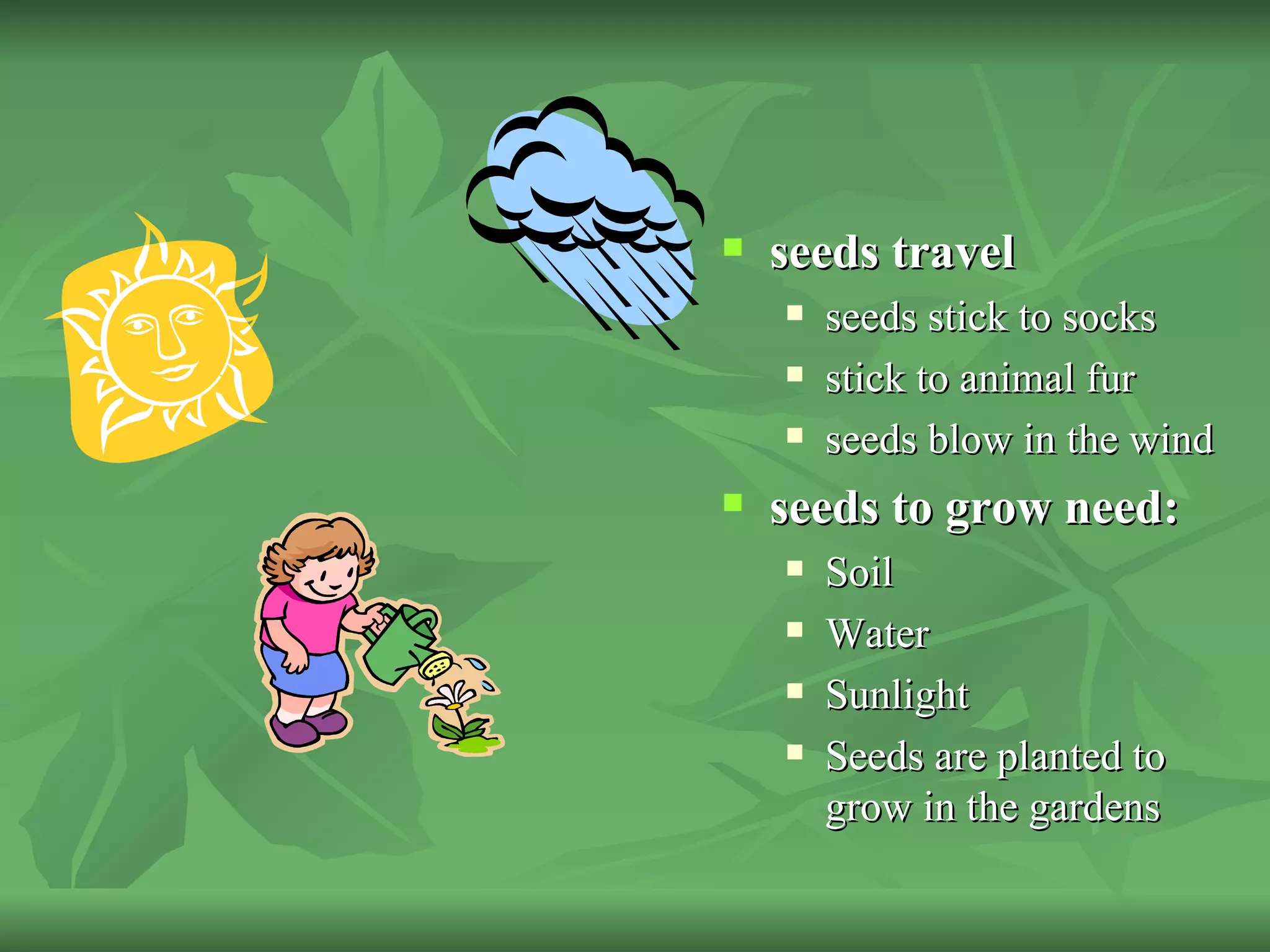 Parts of a plant we eat | PPT