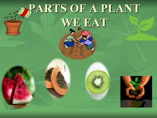 Parts of a plant we eat | PPT
