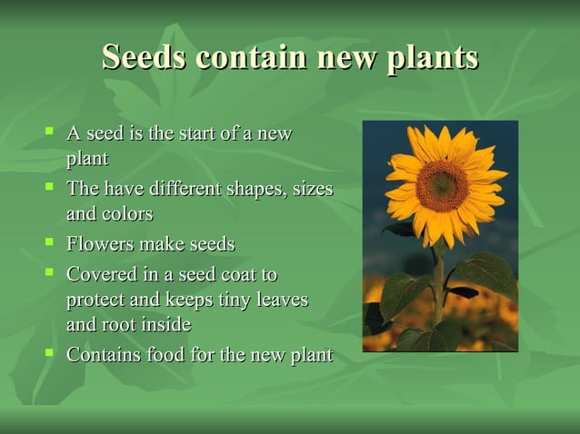 Parts of a plant we eat | PPT | Gardening | Home & Garden