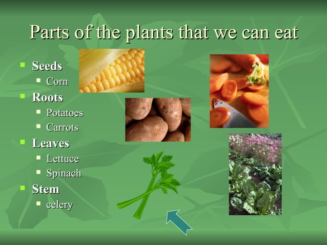 Parts of a plant we eat | PPT | Gardening | Home & Garden
