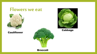 Parts of a plant we eat | PPTX