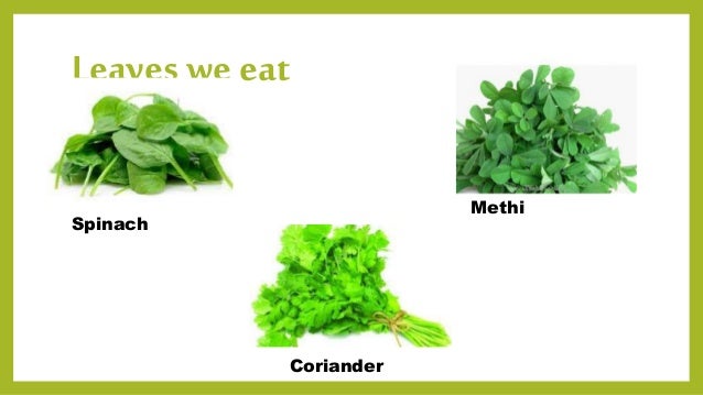 Parts of a plant we eat