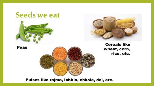 Parts of a plant we eat