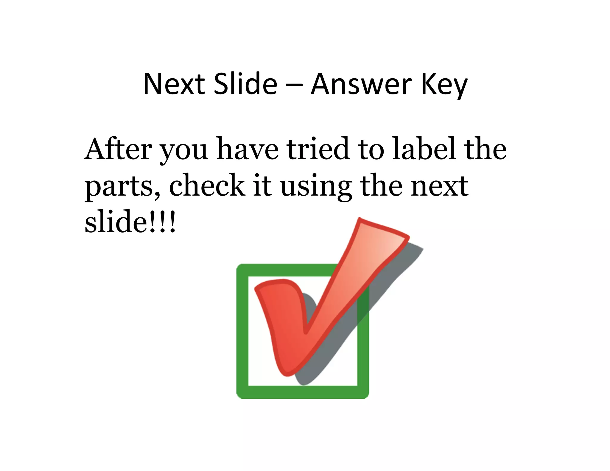 Parts of a recipe following recipes and directions (3) | PPT