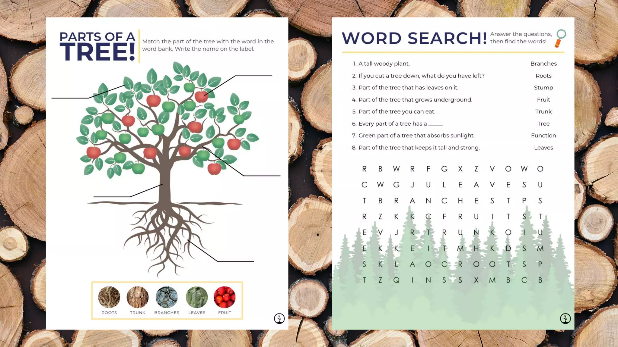 Parts of a tree module slides | PDF