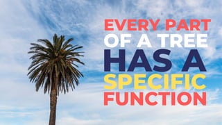 Parts of a tree module slides | PDF