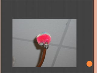 Parts Of A Whole | PPT