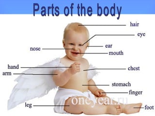 Parts of body | PPT