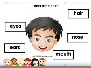 Parts of body | PPTX