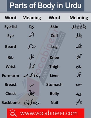 Parts of Body Vocabineer.com-1.pdfenglish .learn English.urdu to ...