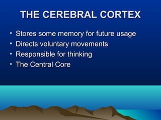 Parts of brain | PPT