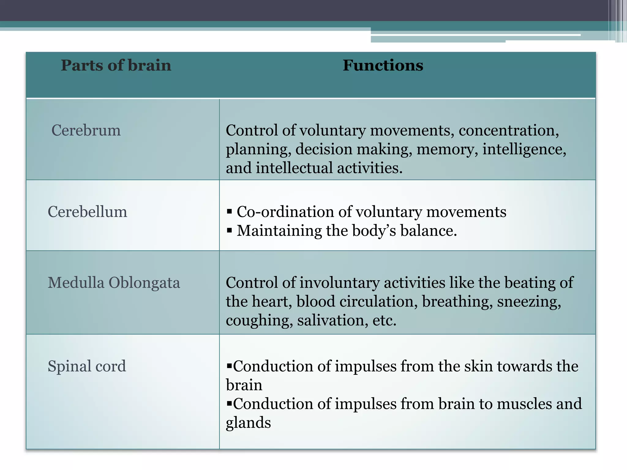 Parts of brain and its function | PPTX