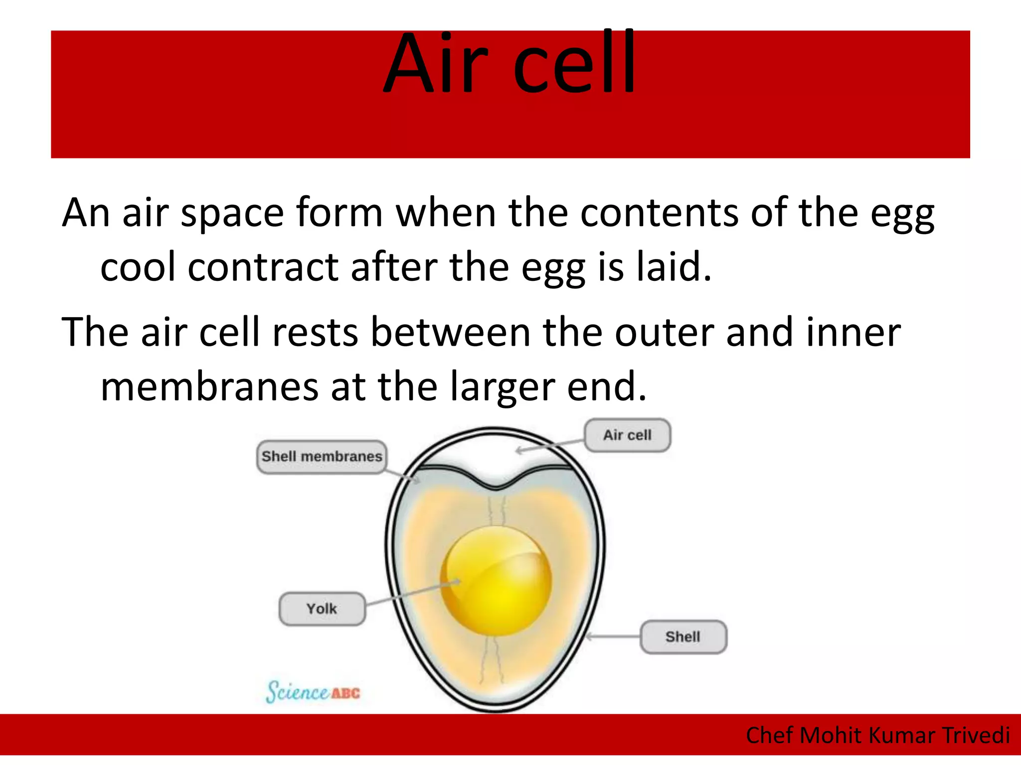 Parts of egg ppt chef mohit | PPT