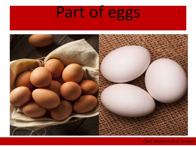 Parts of egg ppt chef mohit | PPT