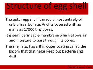 Parts of egg ppt chef mohit | PPT