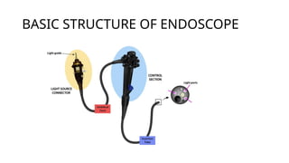 Parts of endoscope and disinfection principles.pptx