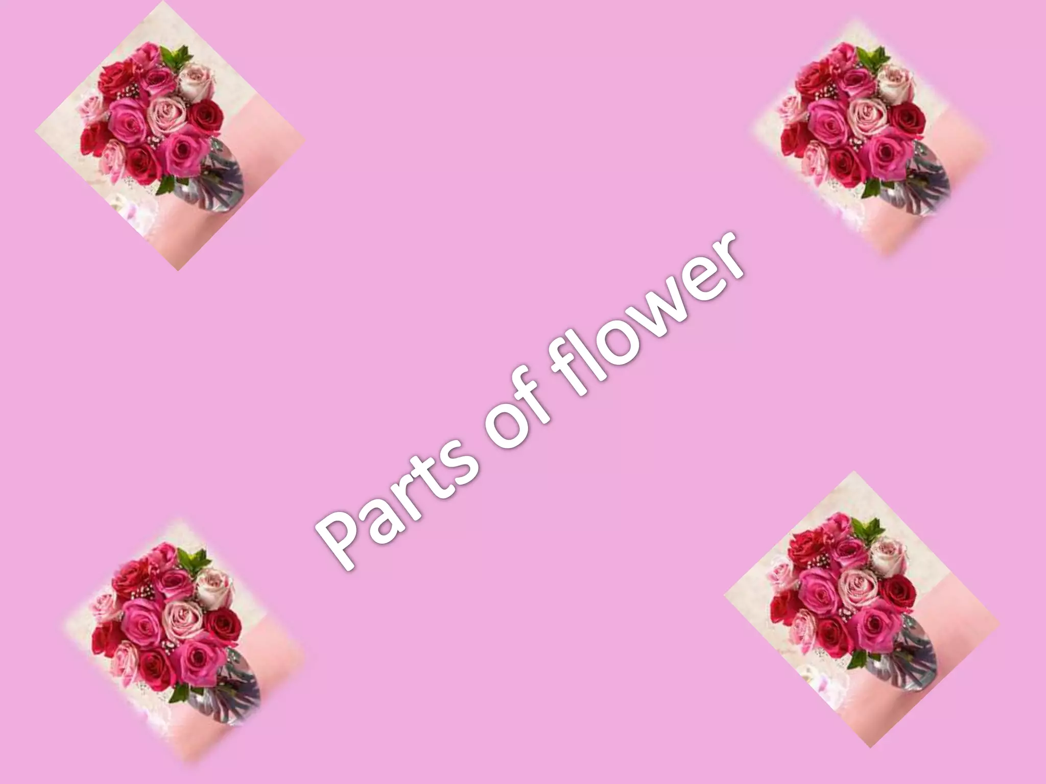 Parts of flower | PPTX