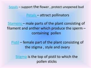 Parts of flower | PPTX
