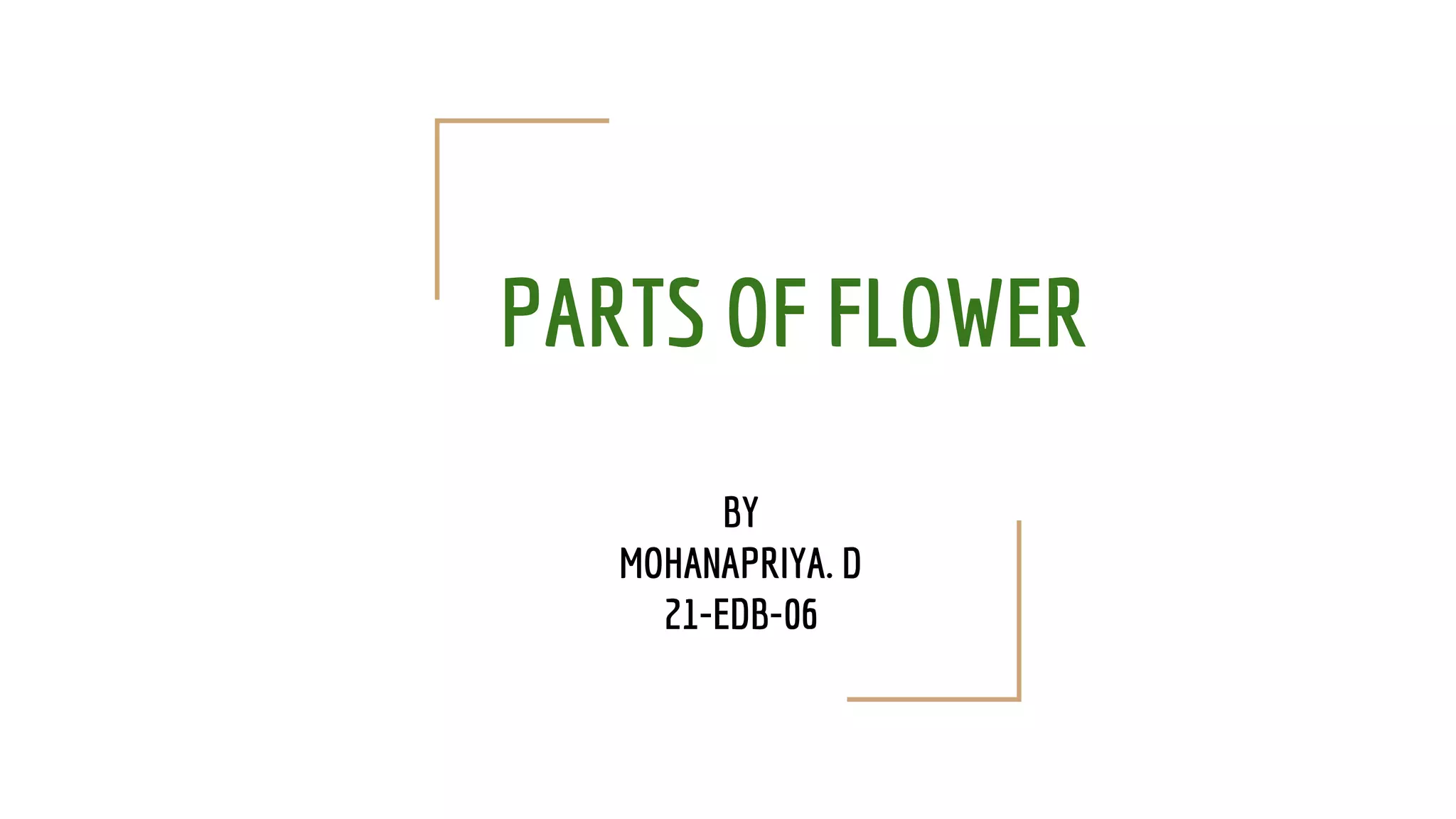 PARTS OF FLOWER.pptx
