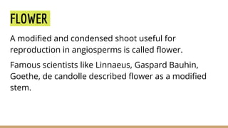 PARTS OF FLOWER.pptx