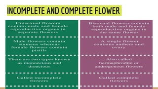 PARTS OF FLOWER.pptx