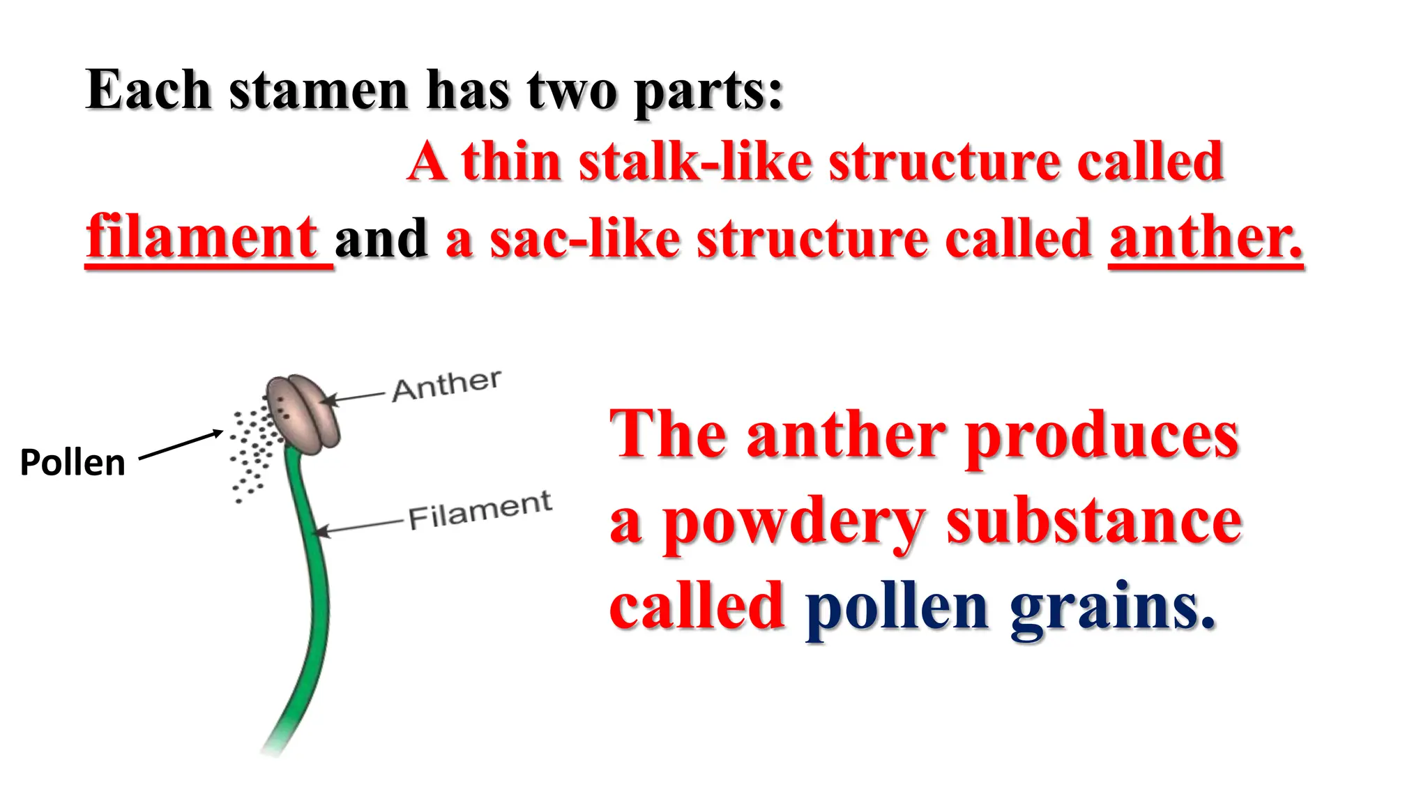 Different parts of flower. Sepal Petal Stamen Pistil Stigma | PPTX
