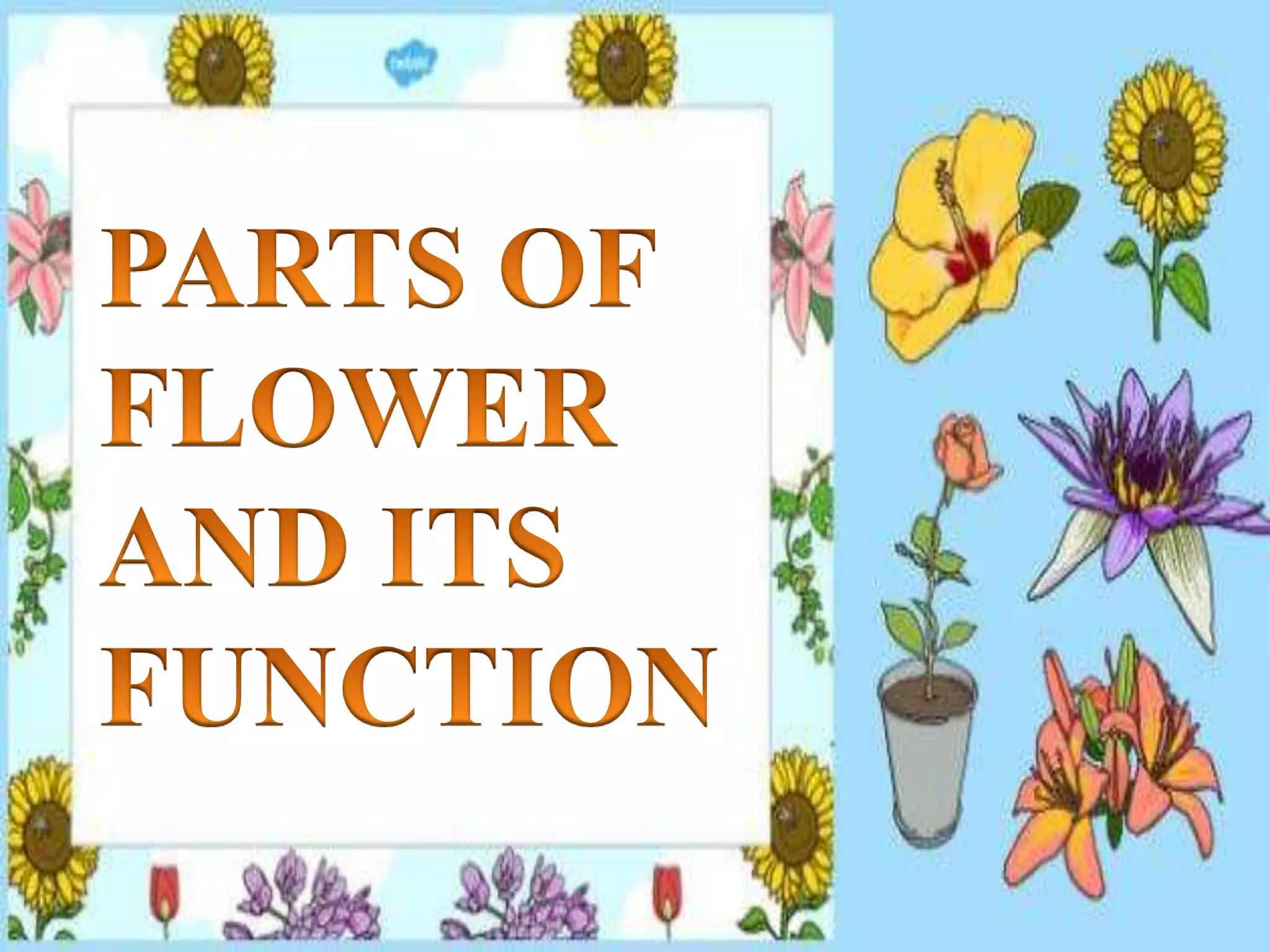 Parts of flower and its function.pptx