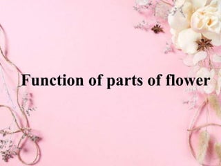 Parts of flower and its function.pptx