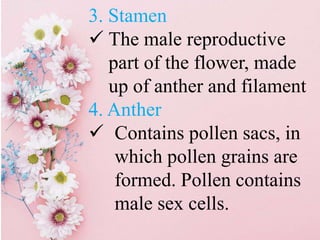 Parts of flower and its function.pptx