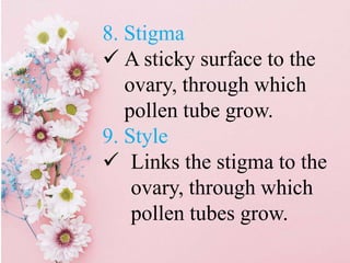 Parts of flower and its function.pptx
