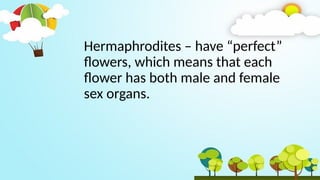 parts of flowers...the reproduction.pptx