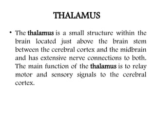 partsofforebrain-200604161440.pptx part of brain | PPTX