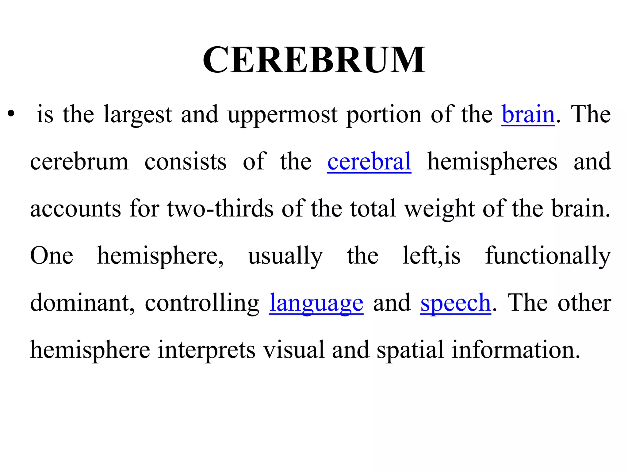 Parts of forebrain | PPTX