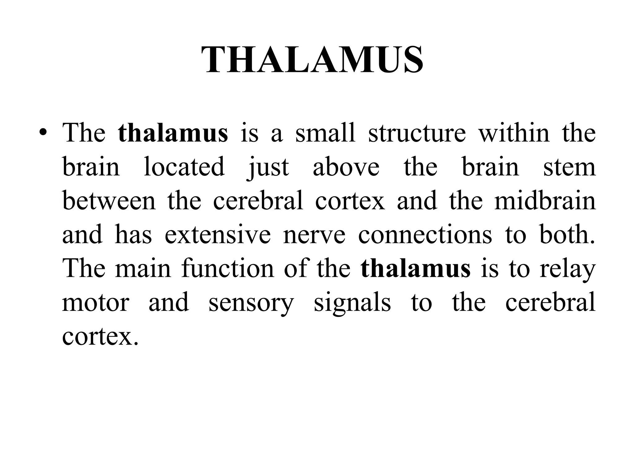 Parts of forebrain | PPTX