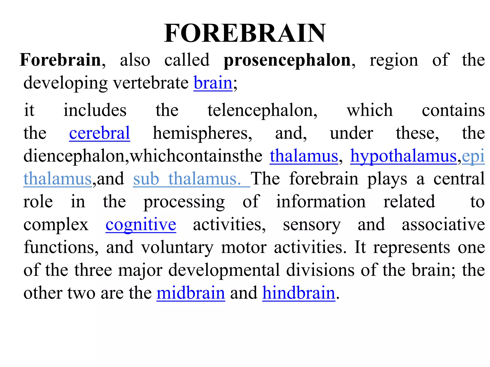 Parts of forebrain | PPTX