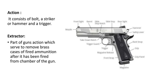 PARTS OF GUN in forensic medicine and toxicology.pptx