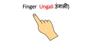 Parts of Human Body in Hindi You Must Know | PPTX
