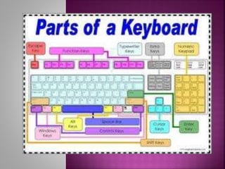 Computer Keyboard Parts And Their Functions